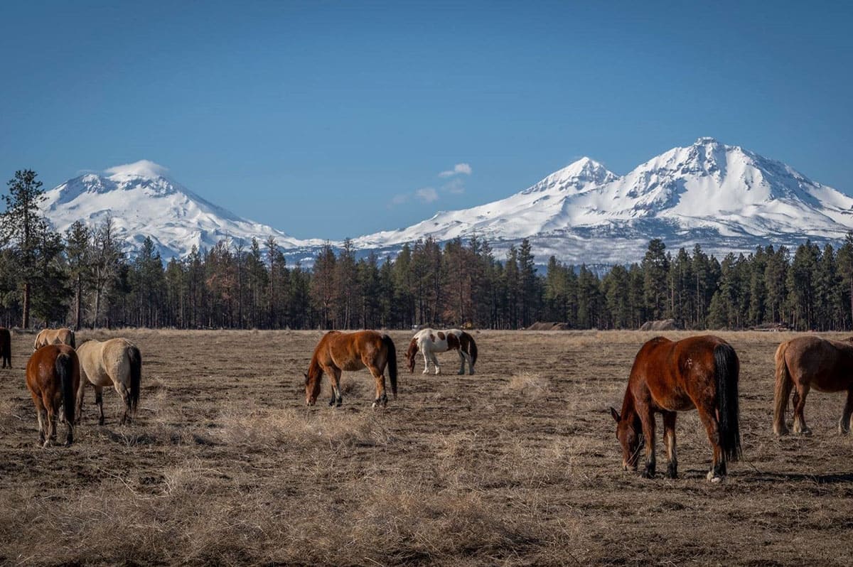 Stephanie Waugh, Broker - Bend Premier Real Estate - Bend Premier Real ...